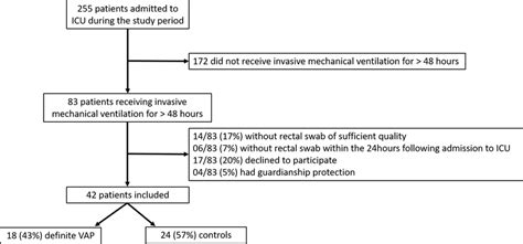 Flow Chart Of The Patients Screened And Included In The Study