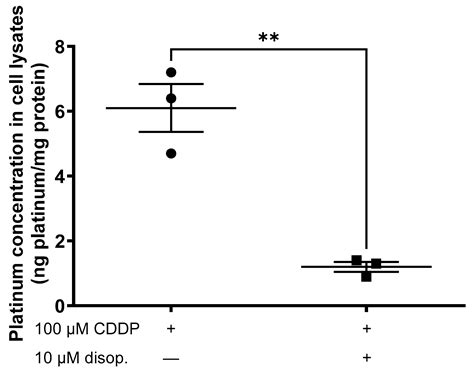 Ijms Free Full Text Modulating The Activity Of The Human Organic