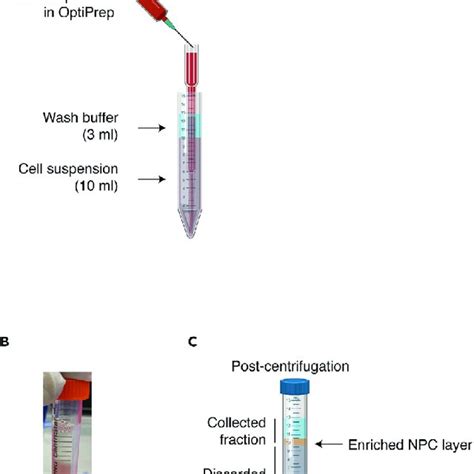 Setup Of The Optiprep Density Gradient A Depiction Of How To Set Up Download Scientific