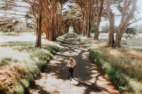 25 Amazing Stops On A 1 Week Pacific Coast Highway Road Trip Itinerary