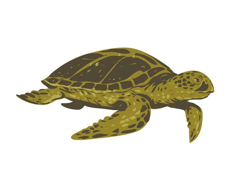Green Sea Turtle Or Pacific Green Turtle Side View Wpa Art 29772863