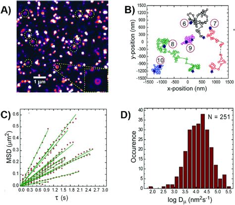 A Maximum Projection Fluorescence Image Showing R6g Dye Molecules In