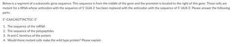 Solved Below Is A Segment Of A Eukaryotic Gene Sequence Chegg