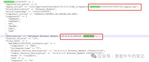 Oracle 补丁数据字典更新失败案例datapatch Csdn博客