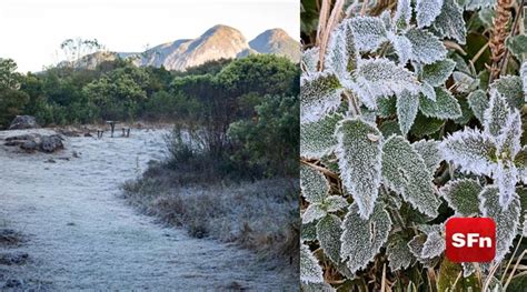 Menor Temperatura Do Brasil Geada Deixa Paisagem Branquinha Em Nova