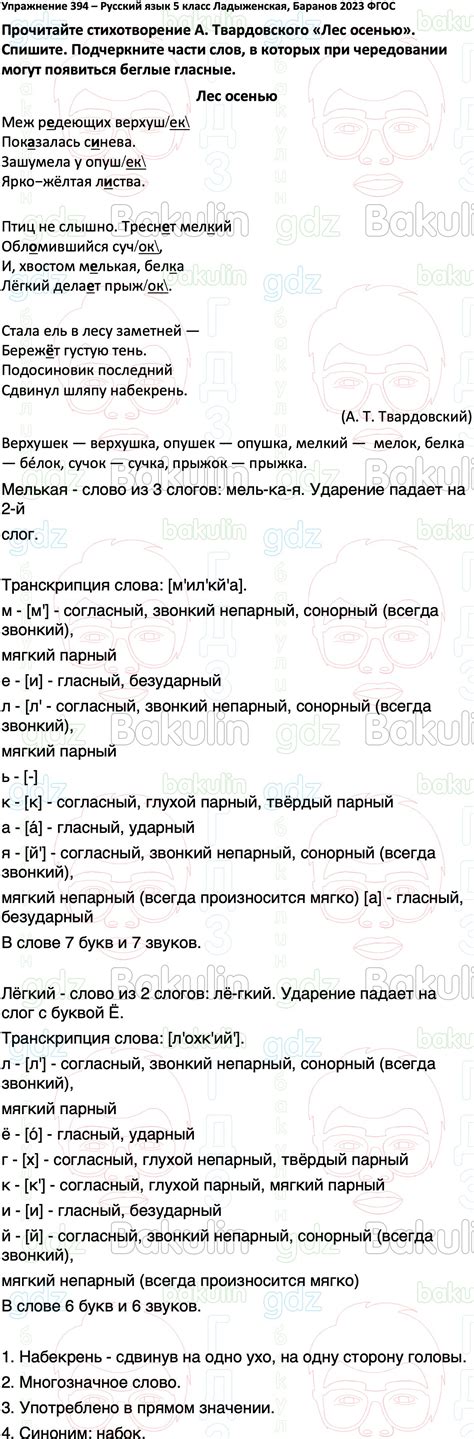 ГДЗ русский язык 5 класс Ладыженская ФГОС Просвещение 2024 Решение