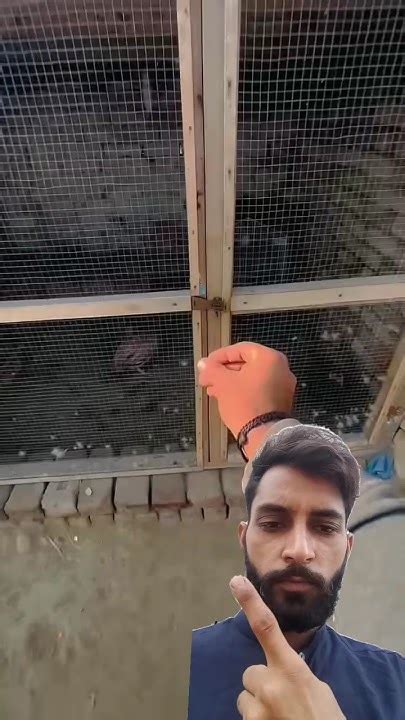 O My God 😱😱😱 Wait For The End 🖐🏻🖐🏻🖐🏻🤨 Youtube