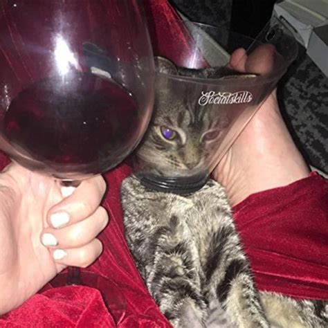 Understanding The Chameleon Personality Traits Adaptability And