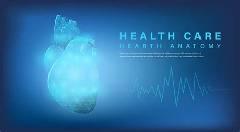 추상적 인 인간의 마음 심장 해부학 건강 관리 의료 개념 로우 폴리 스타일 디자인 기하학적 배경입니다 와이어프레임 라이트 연결 구조 현대 3d 그래픽 개념 벡터