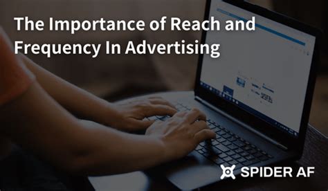 A Complete Guide On Frequency And Reach In Advertising 2024 Spider Af