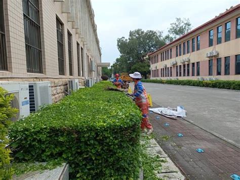 校园环卫绿化服务工作简报 （2023年秋季第六周） 广西大学后勤基建处