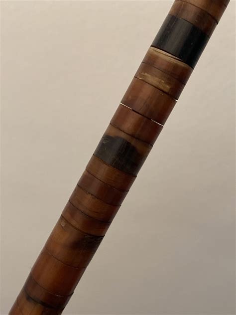 Antique Stacked Antler Horn Segment Handle Walking St Gem