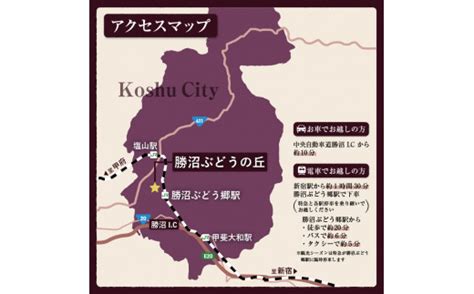 勝沼ぶどうの丘推奨スパークリングワイン6本セット（kbo）f 603【ワイン スパークリングワイン 甲州市 山梨県】 山梨県甲州市