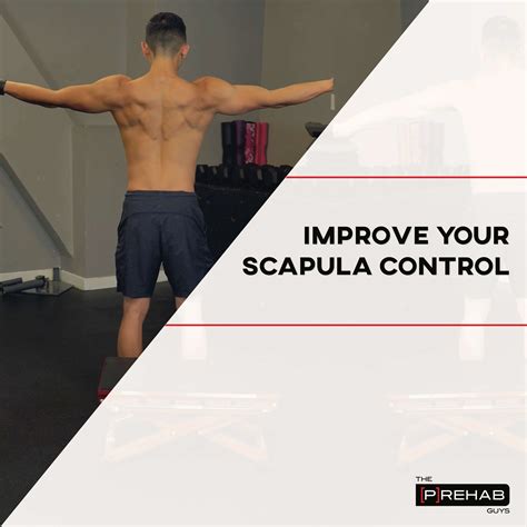 Improve Scapula Control [𝗣]𝗥𝗲𝗵𝗮𝗯