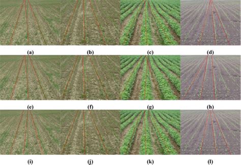 Image‐based Crop Row Detection Utilizing The Hough Transform And Dbscan