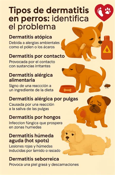 Dermatitis En Perros Guía 100 Completa Criadero De Perros Las Almenas