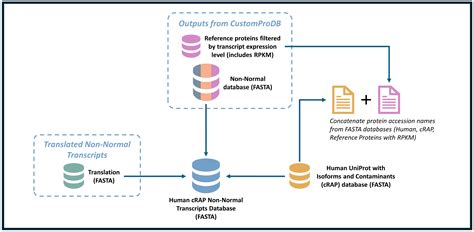 Hands On Neoantigen 1b Non Reference Database Generation Neoantigen