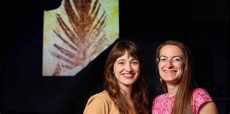 Dinosaur Feathers Reveal Traces Of Ancient Proteins