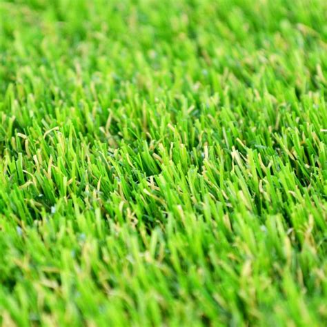 Most Realistic Artificial Grass Ev Web Directory