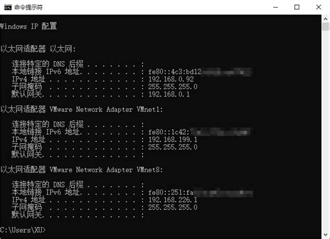 轻松查找 Windows、mac 和 Linux 电脑的 Ip 地址方法汇总ip追踪命令 Csdn博客