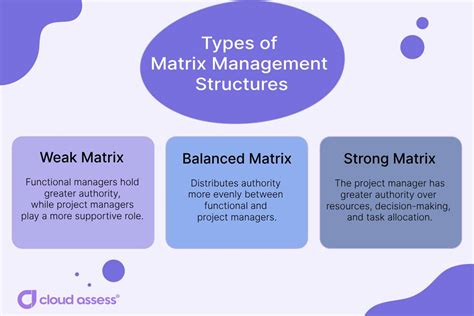What Is Matrix Management Components Benefits And Strategies