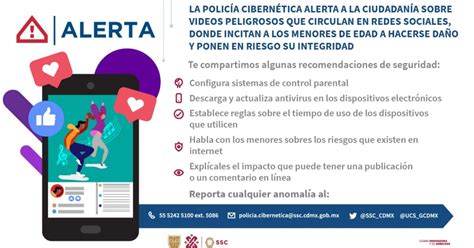 Ayuda Policía Cibernética En Casos De Violencia Digital La Querella