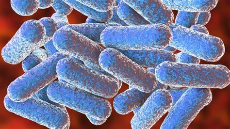 DNA Damaging Gut Bacteria May Fuel Colon Cancer In Patients With