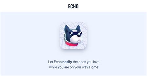 Echo Tracking IOS App Interface On Behance
