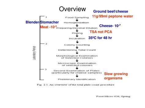 Ppt Total Plate Count Powerpoint Presentation Free Download Id 328073
