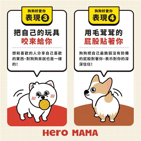 狗狗喜歡你嗎？牠認主人的6個行為，你發現了嗎？ Heromama