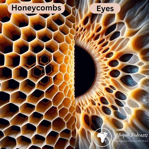 Muhammad Babar Posted On Linkedin