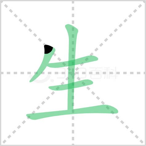 《生》字的笔顺、笔画动画 生字怎么写？ 汉字笔顺笔画查询 汉字规范书写动画演示