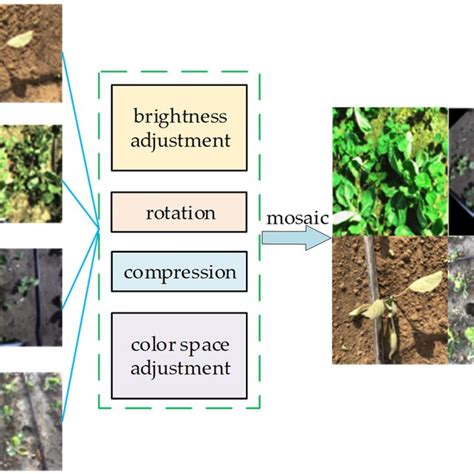 Mosaic Data Augmentation Download Scientific Diagram