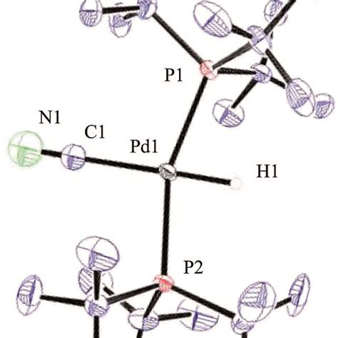 Ortep Representation Of Complex 33 Download Scientific Diagram