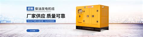 大泽动力厂家 30kw柴油发电机 20kw汽油发电机 高原柴油发电机