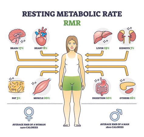 What Does Rmr Stand For And Why It Matters For Your Health