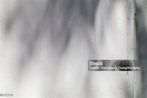 질감 배경 벽지와 디자인을 위한 흰색 콘크리트 벽 질감에 햇빛 오버레이 여름 계절 개념 0명에 대한 스톡 사진 및 기타 이미지