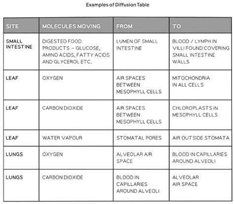 Diffusion In Biology Biology For Gcseigcse Year 11 Pdf Download