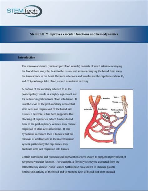 Stem Flo Summary Pdf