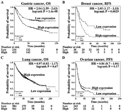 Kaplan Meier Survival Analysis Of Gpbar1 Gene Expression In Cancer