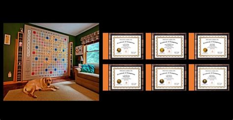 The Data Lodge Posted On Linkedin