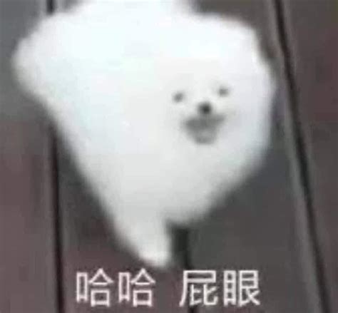 Pee Album On Imgur