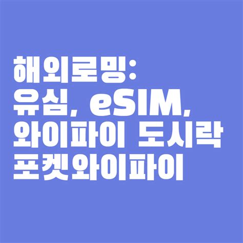 해외로밍 유심 Esim 와이파이 도시락 통신사 로밍