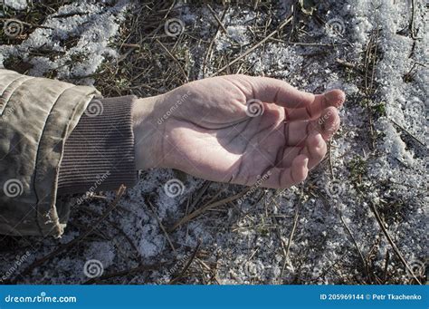 Asesinato La Mano Del Hombre Muerto Yace En La Nieve Que Se Derrite Foto De Archivo Imagen De
