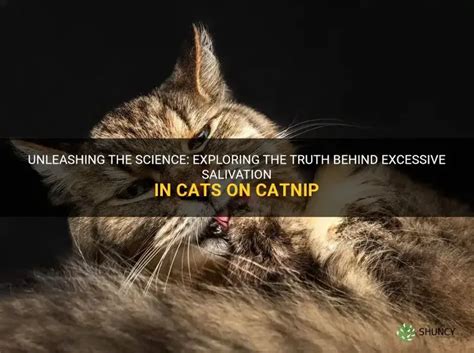 Unleashing The Science Exploring The Truth Behind Excessive Salivation