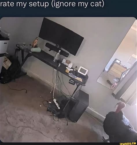 Rate My Hair Bounce 1 10 Ifunny