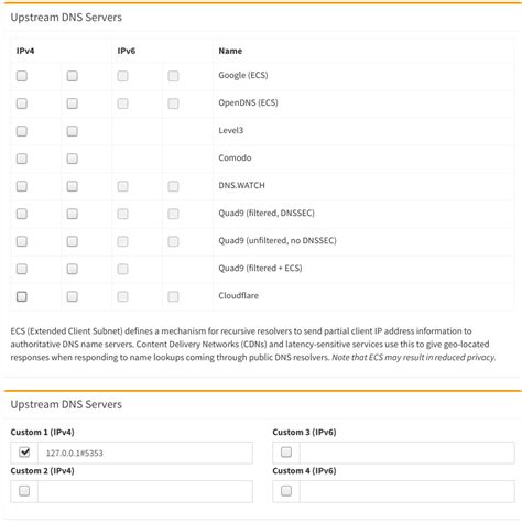 Cannot Resolve When Setting Up Unbound Help Pi Hole Userspace