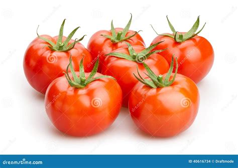 Tomatoes 库存照片 图片 包括有 红色 蔬菜 自然 绿色 健康 蕃茄 水多 饮食 40616734