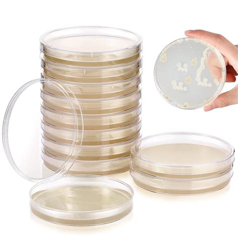 TrelaCo 10 Pcs Prepoured Potato Nutrient Agar Potato Dextrose Agar