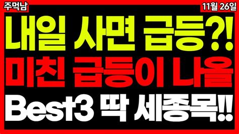 내일 이 3가지 종목 매수 기회 노려보세요 국내 1위 이 기업 재건관련주 Ai관련주 제약바이오 관련주 Sto관련주 가상화폐